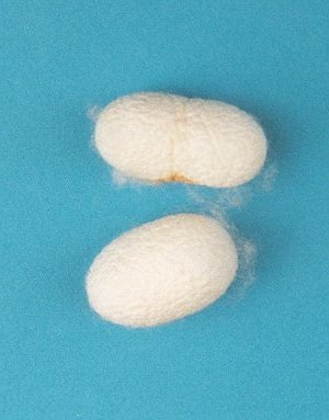 Seide Abbildung 2 – Transport Informations Service