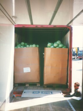 Cabbages, Figure 3 – Transport Informations Service