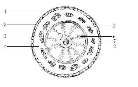 Flax, Figure 3 – Transport Informations Service