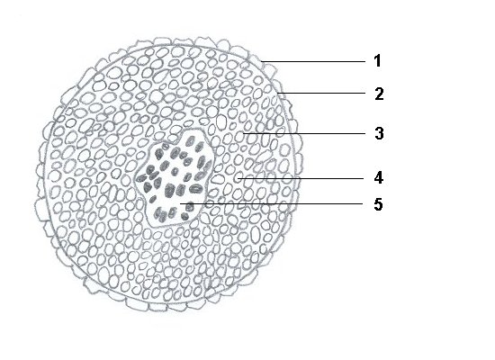 Wool, Figure 1 – Transport Informations Service