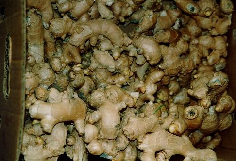 Ginger (fresh), Figure 2 – Transport Informations Service