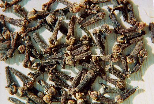 Cloves, Figure 5 – Transport Informations Service