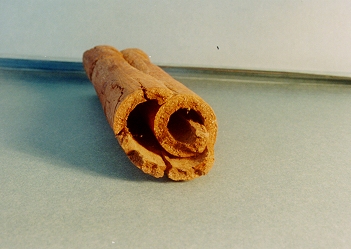 Cinnamon, Figure 3 – Transport Informations Service