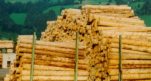 Roundwood/Lumber, Figure 3 – Transport Informations Service