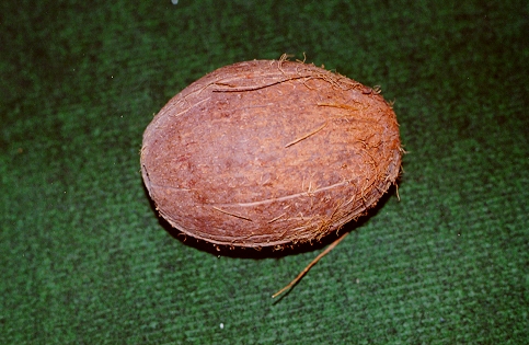 Coconuts, Figure 2 – Transport Informations Service